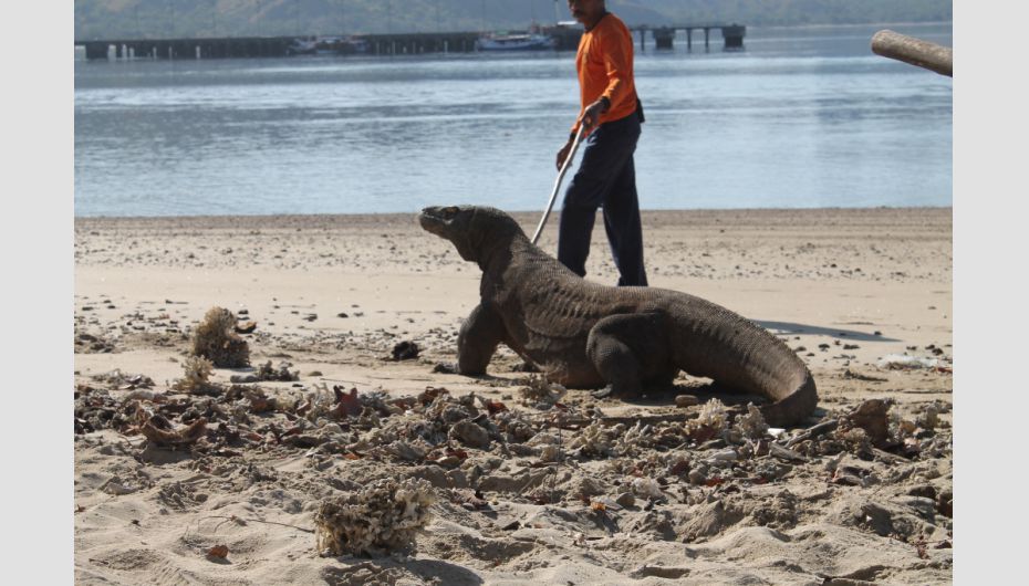 Open Trip Komodo Waerebo 2 - 6 Juli 2016 - 1001malam.com